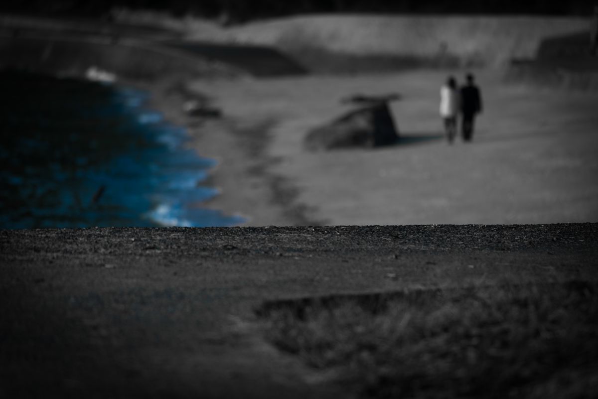 water's edge | GANREF