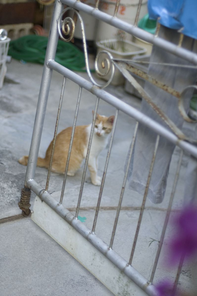 DSC_0026_b.jpg | GANREF