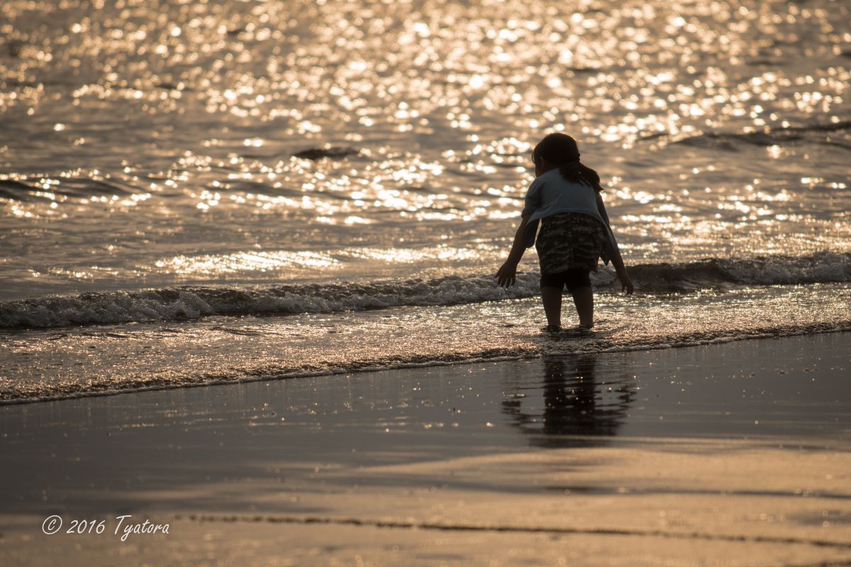 戯れる時 | GANREF