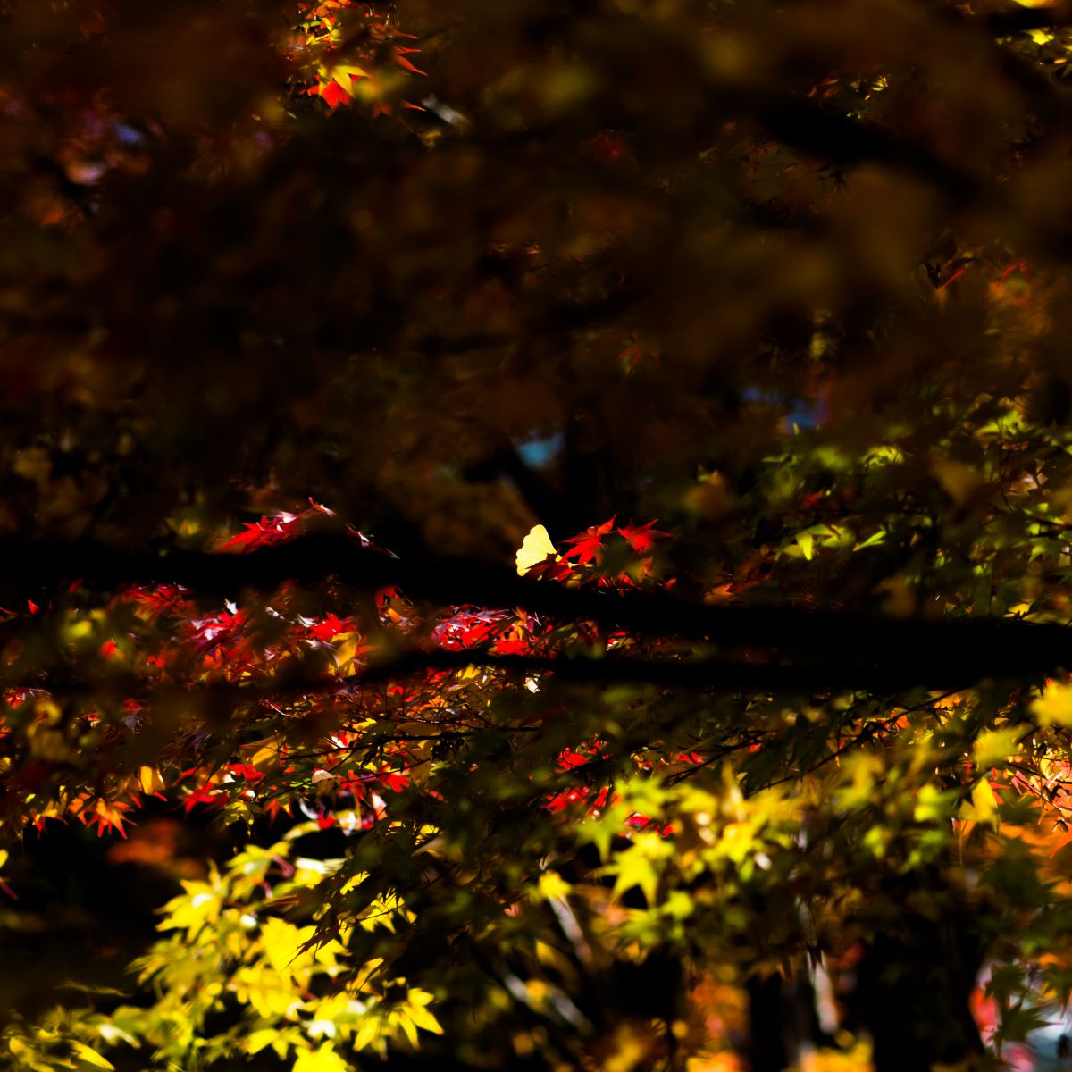 ロスタイム | GANREF