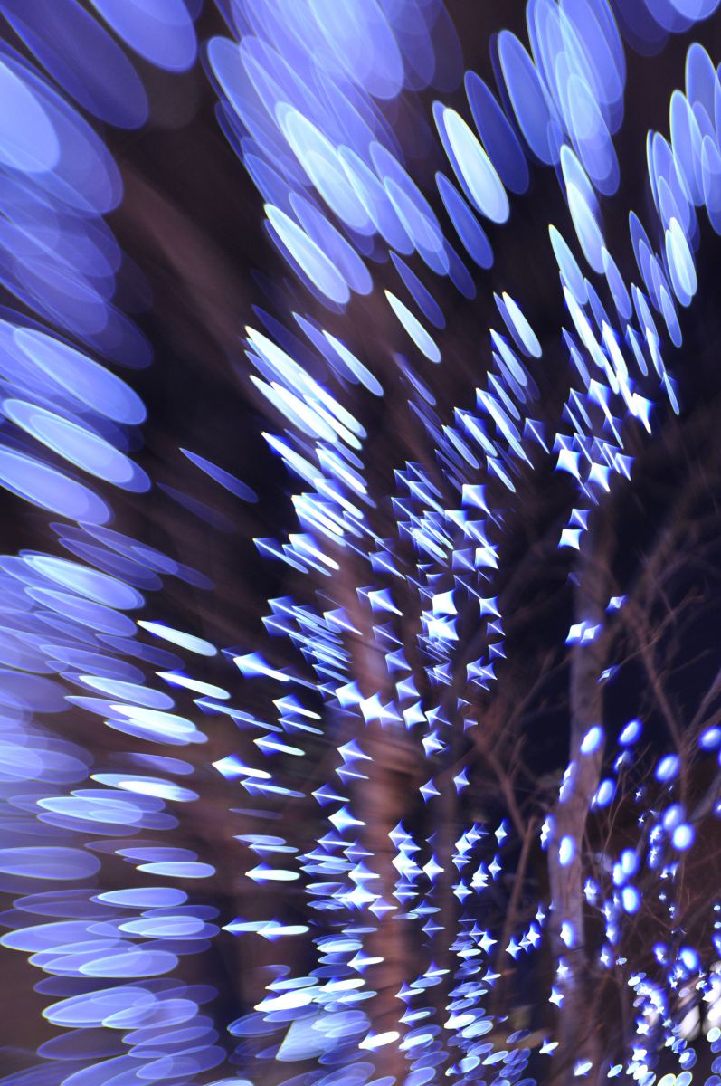 矢を射て | GANREF