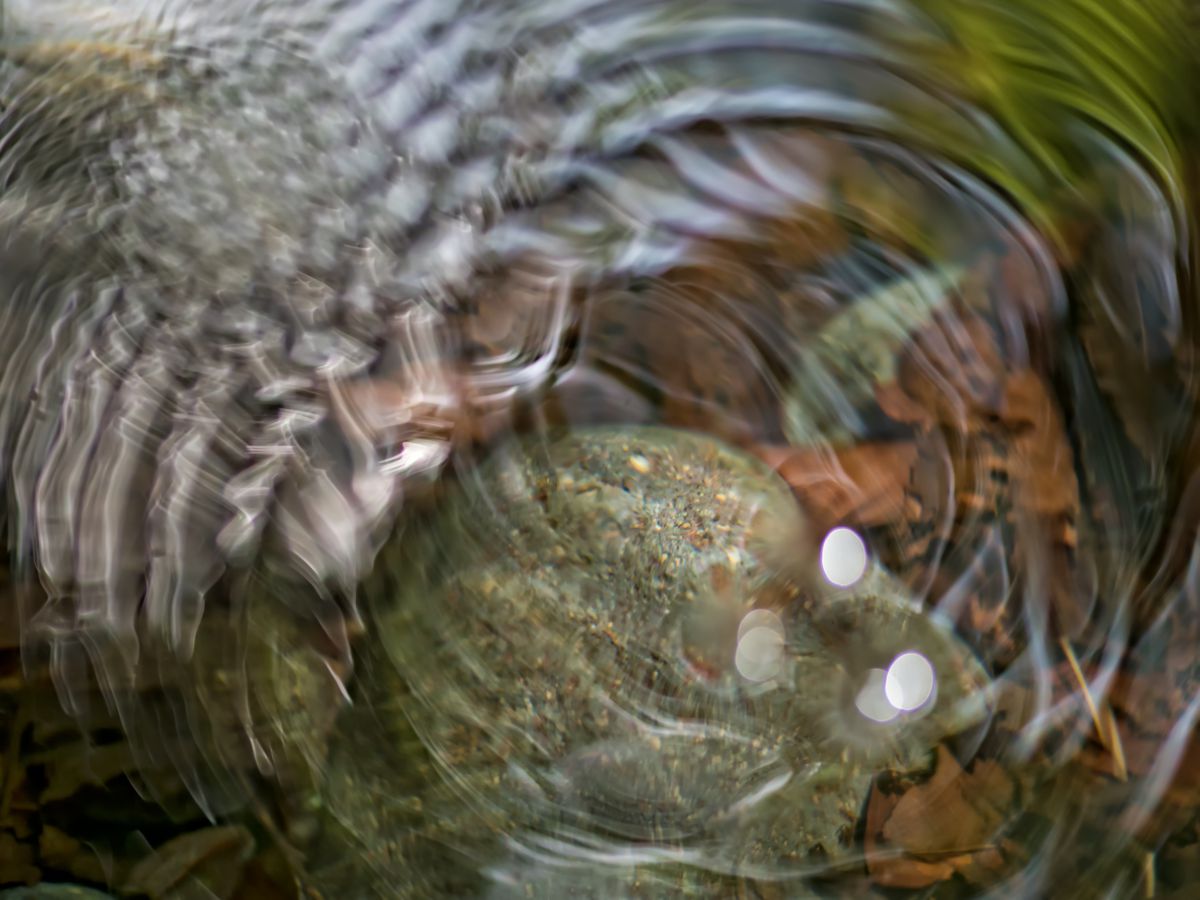 The Birth of the Waves. | GANREF