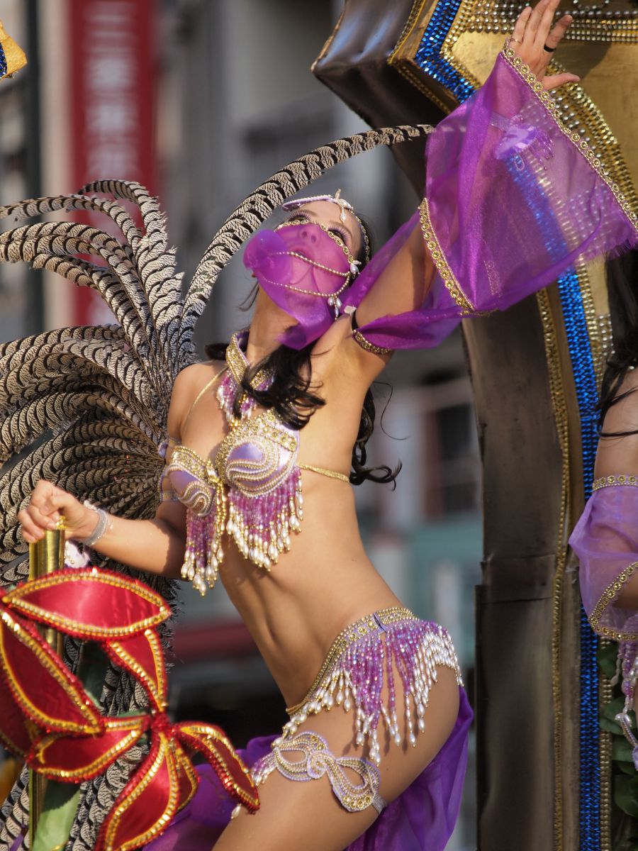 The Top of the Samba Dancer. | GANREF