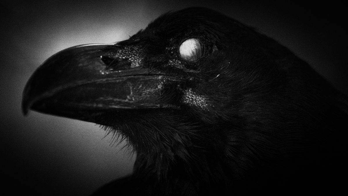 Messenger from the Underworld | GANREF