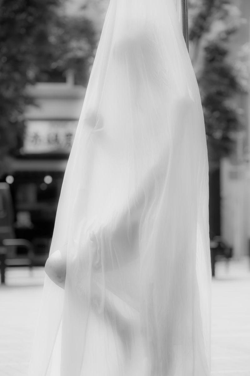 ～Veil～ これから始まる予感 | GANREF