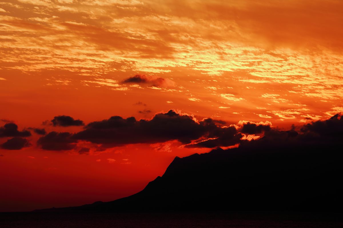 Orange Days･･･。 | GANREF