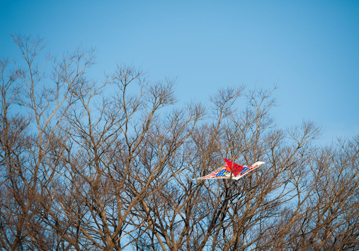 Caught by the mess | GANREF