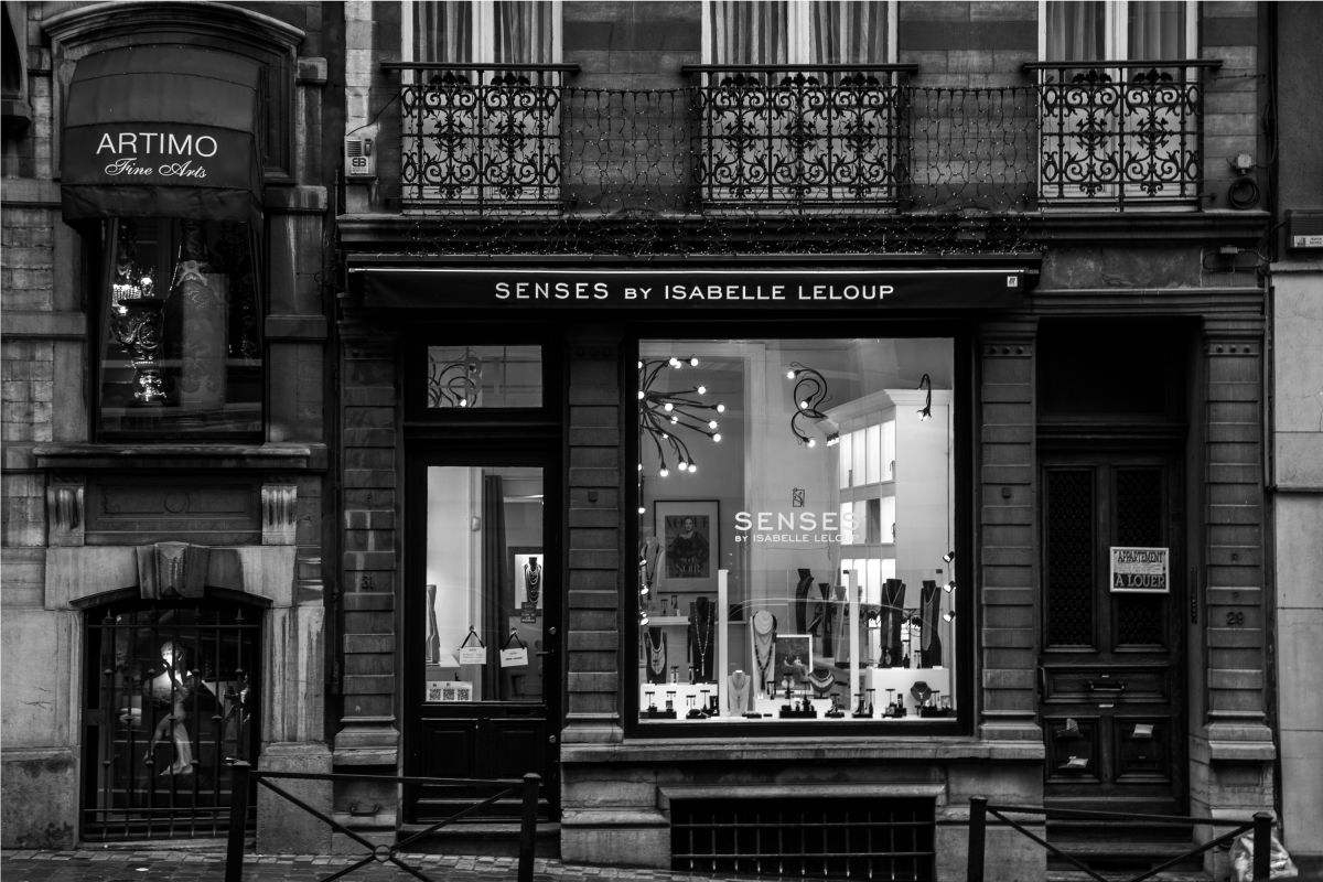 Show window "Senses" | GANREF