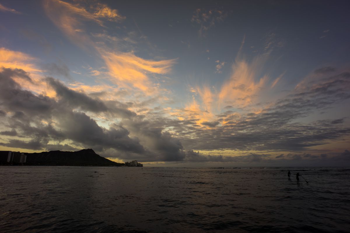 Dynamic morning | GANREF