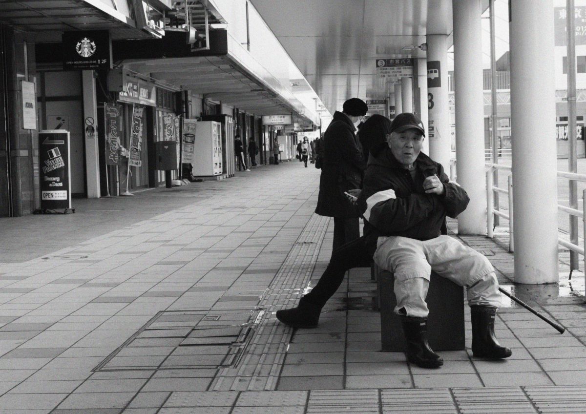 TSUGARU 2.jpg | GANREF