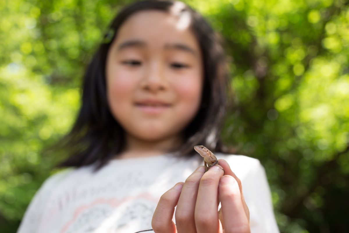 トカゲを捕まえたよ.jpg | GANREF