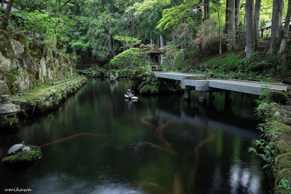 Entrance to another world | GANREF