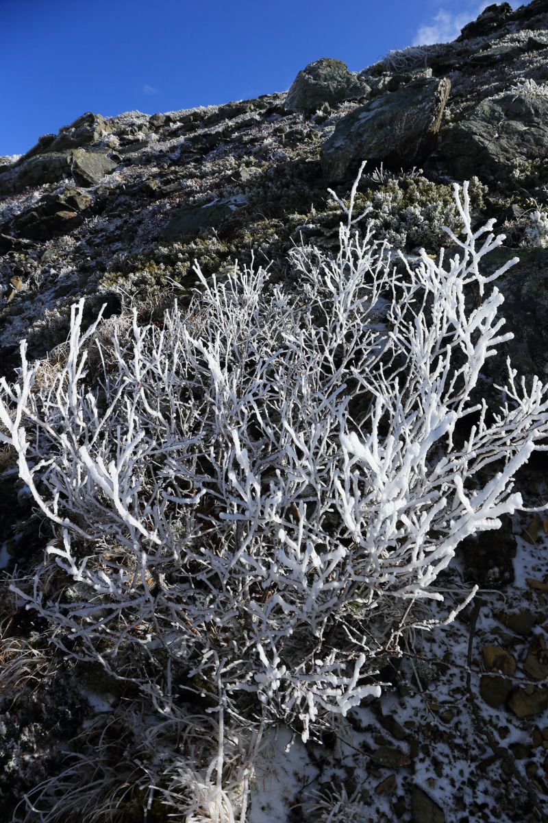 Freezing season | GANREF