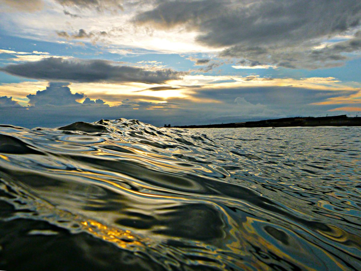 surfers Eye ～Clean swell～ | GANREF