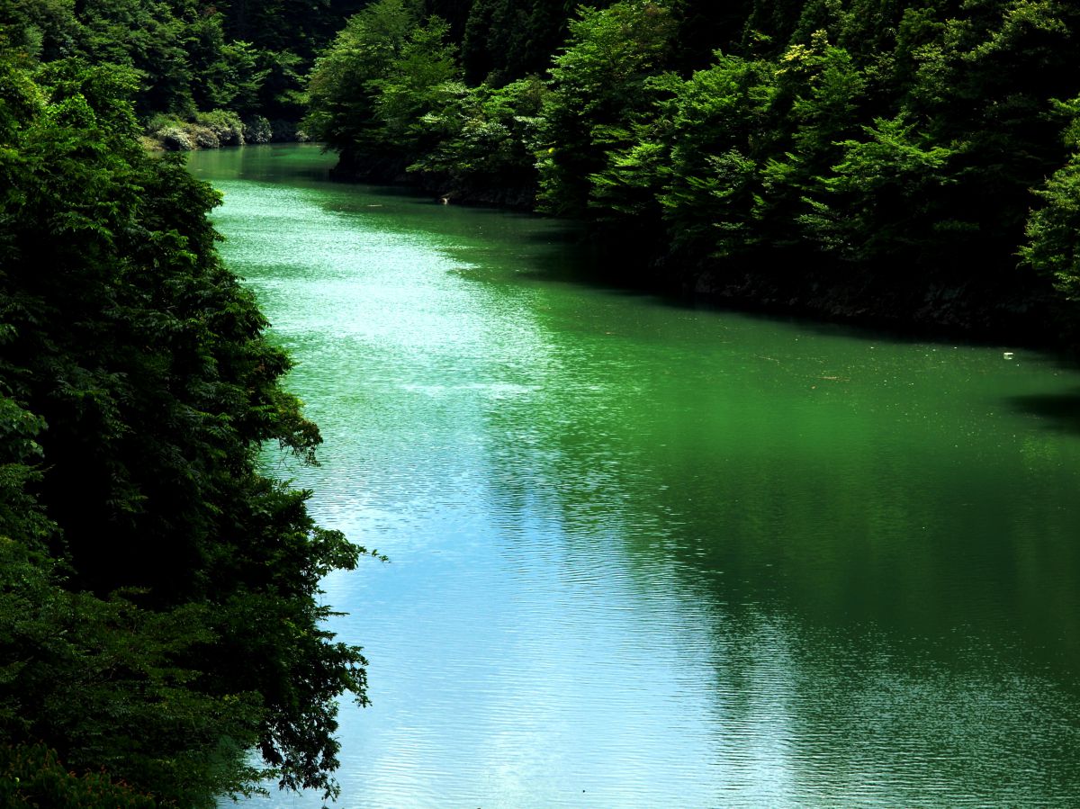 Green River | GANREF