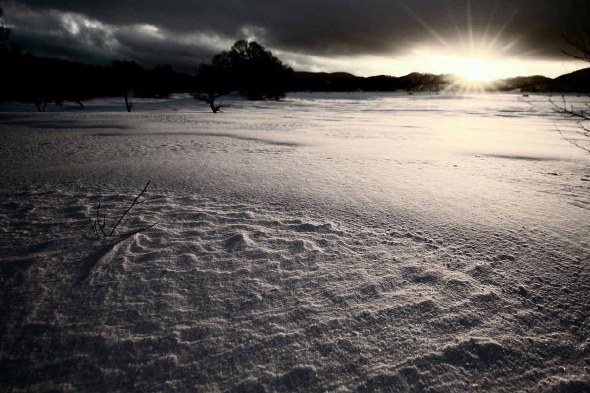 光へ向かって | GANREF