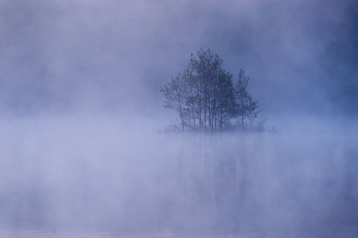 In the Mist | GANREF