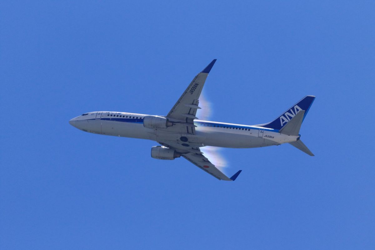 737ベイパー | GANREF