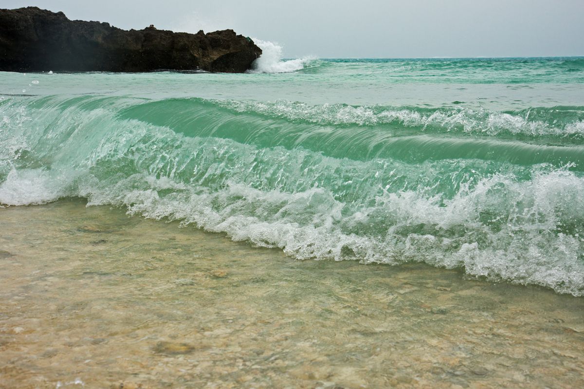 Emerald Wave | GANREF