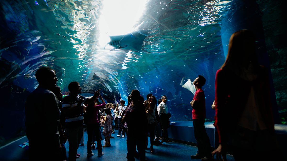 water tonnel | GANREF