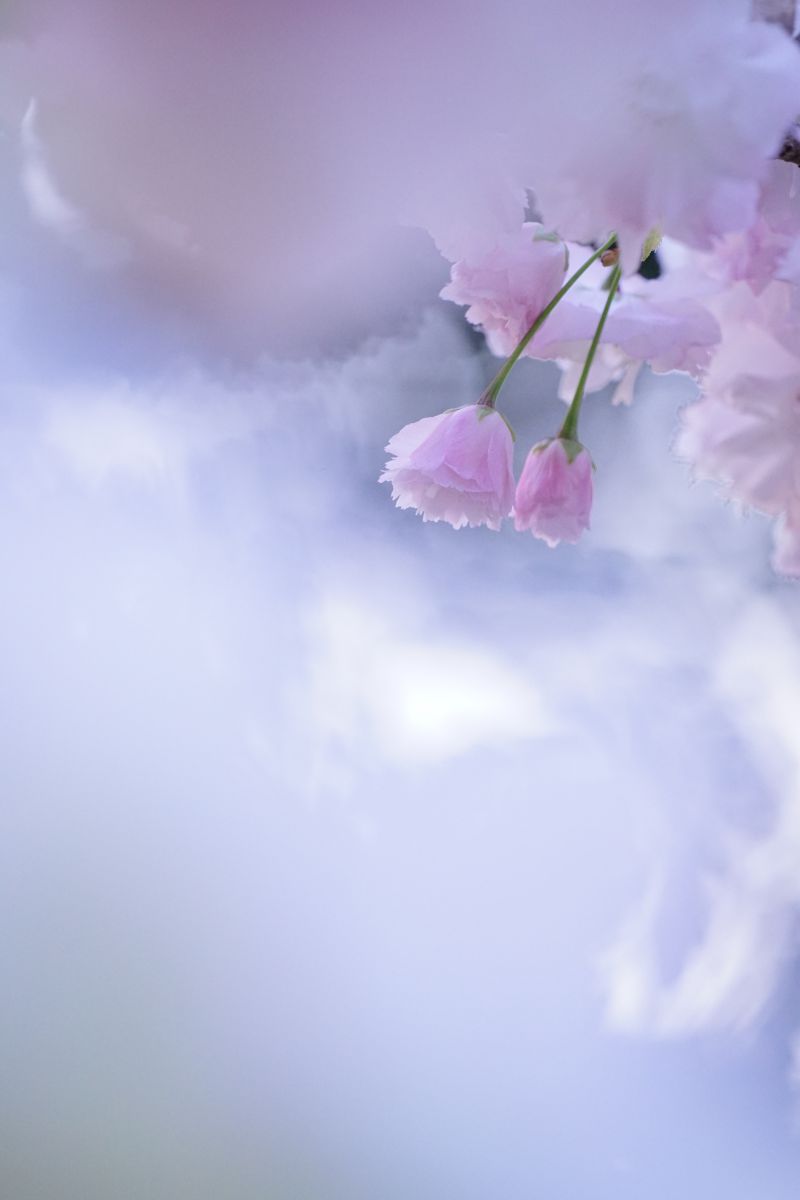 Open Your Heart | GANREF