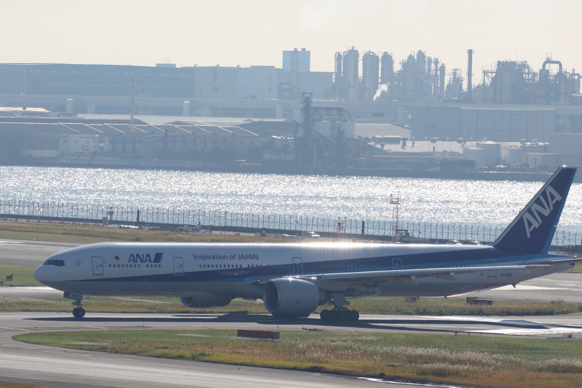 Shining Airplane | GANREF