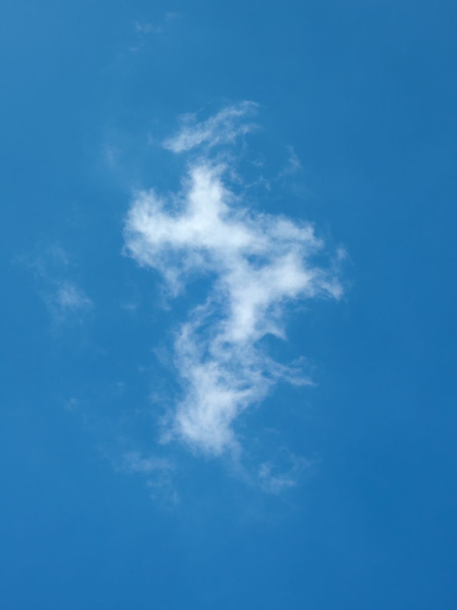 Cloud VII : Dragon | GANREF