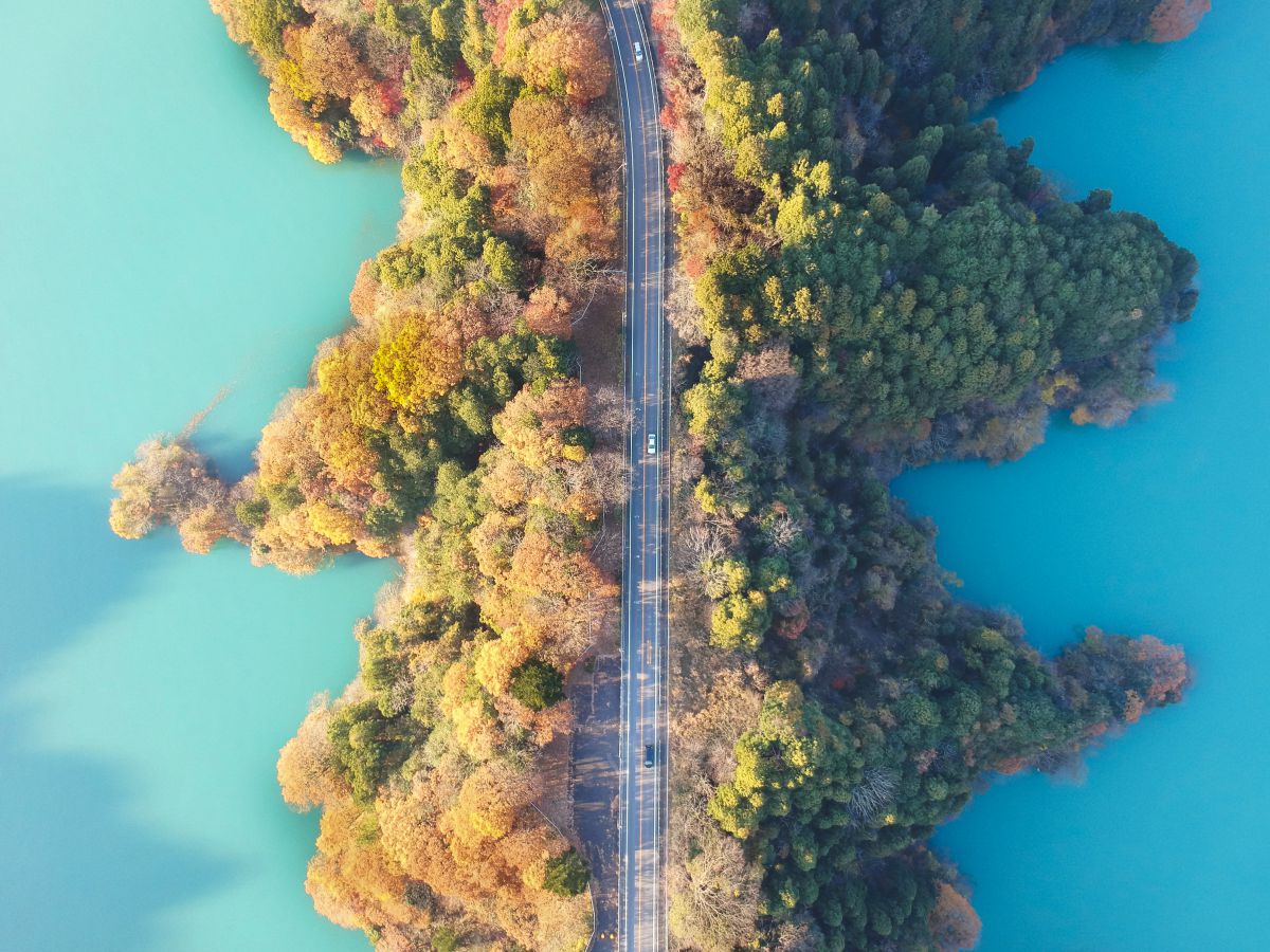 colorful palette | GANREF