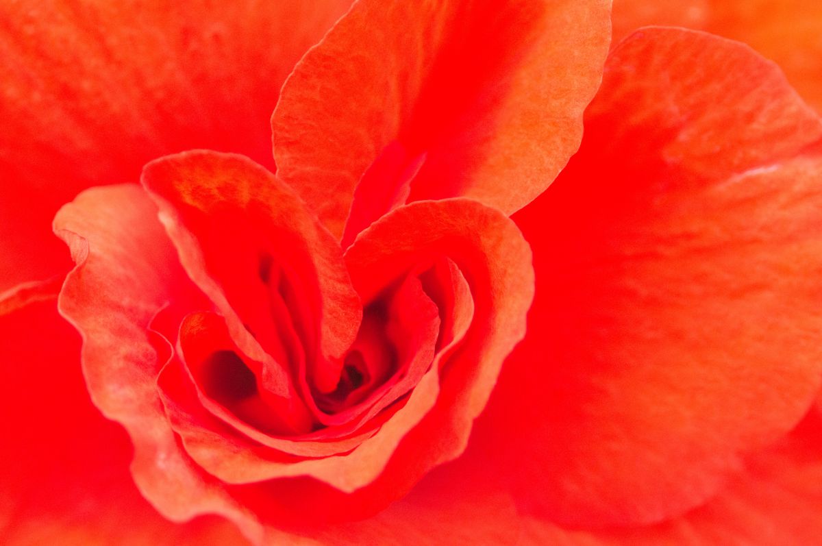 sweet memory | GANREF