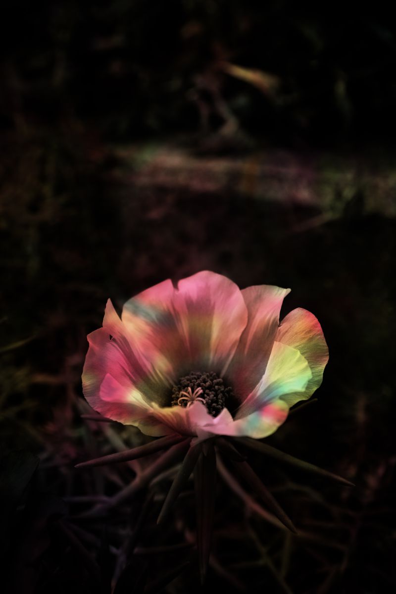 Colorful space. | GANREF