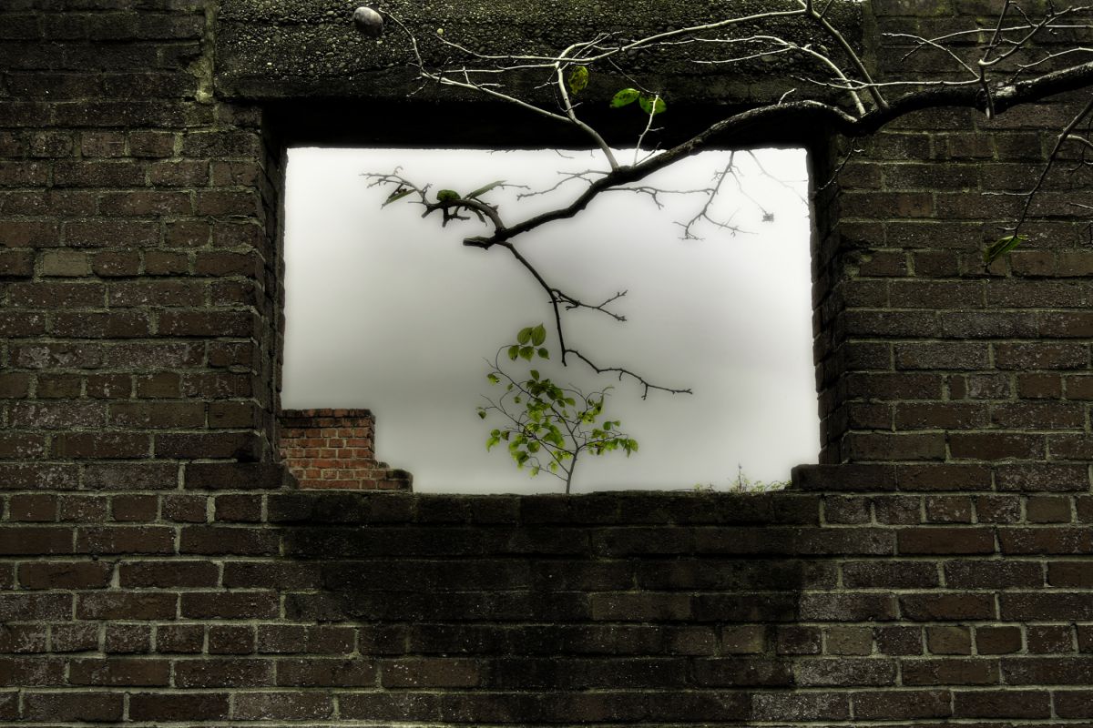 It's a requiem. | GANREF