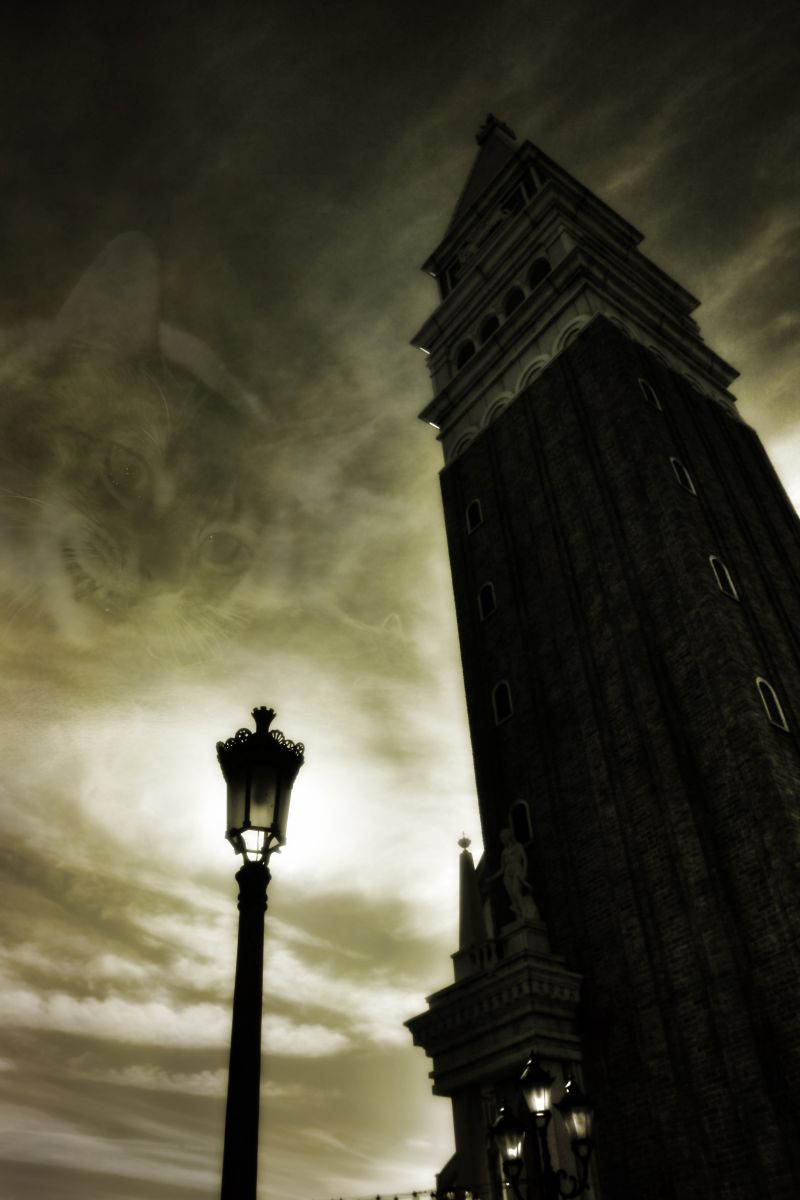 Twilight zone | GANREF