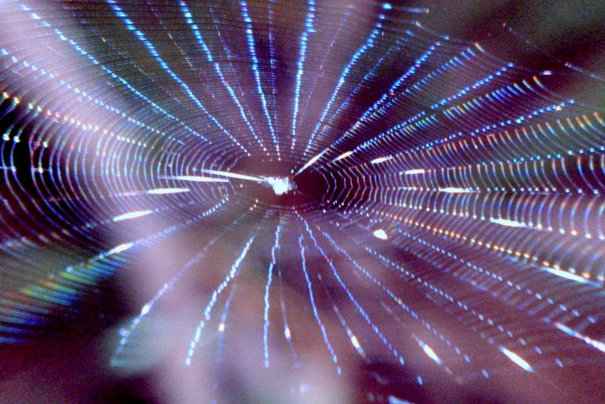 Blu-ray Disk | GANREF