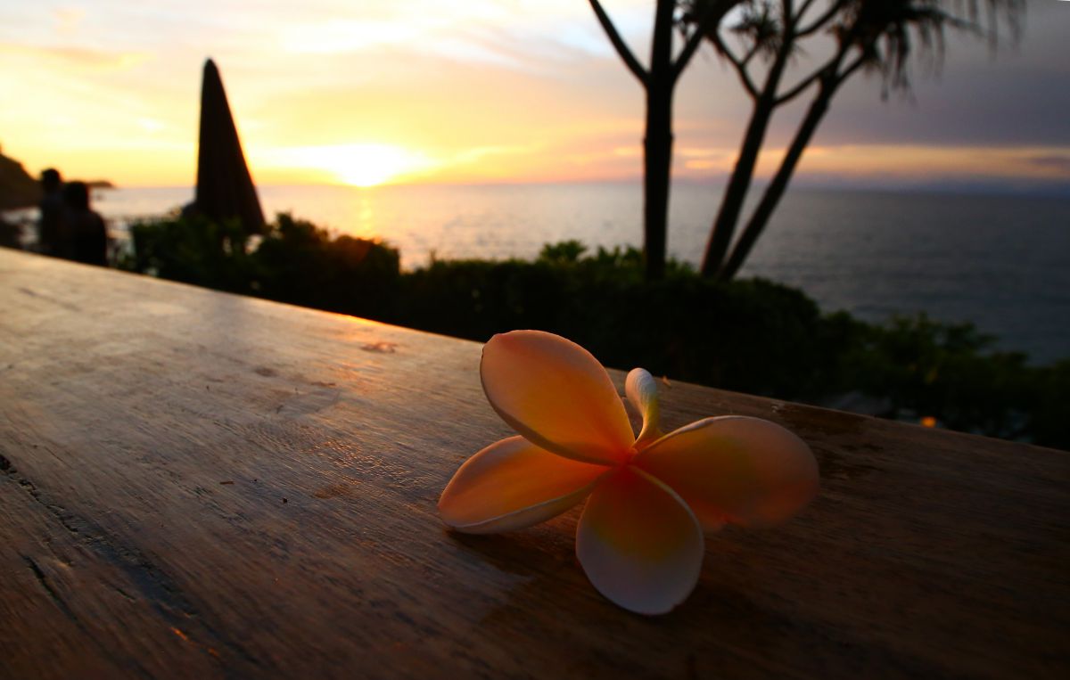 Goodbye today | GANREF