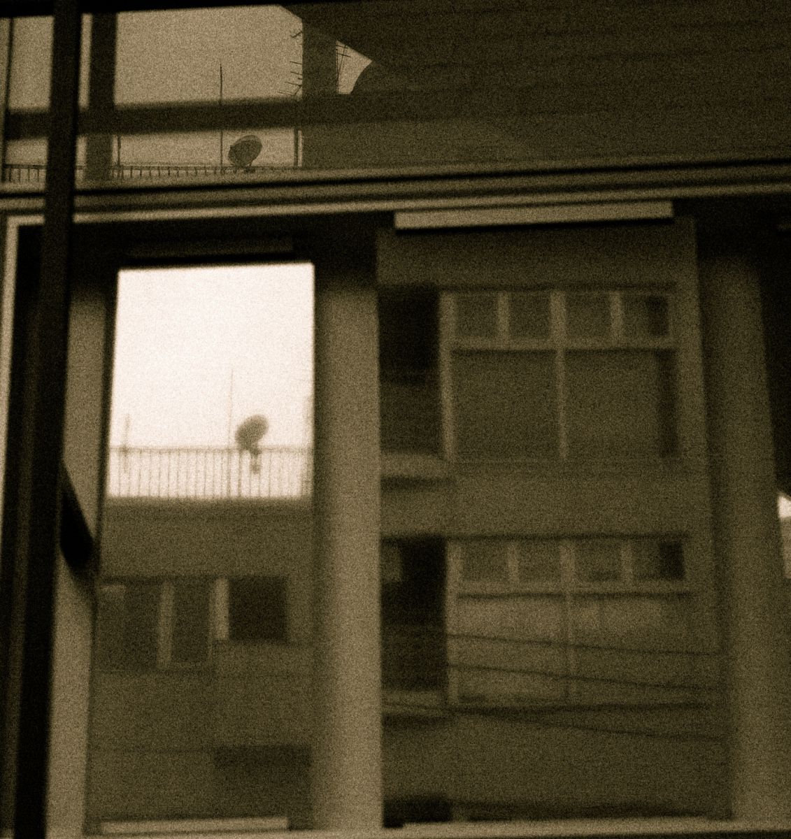 Light and Darkness | GANREF