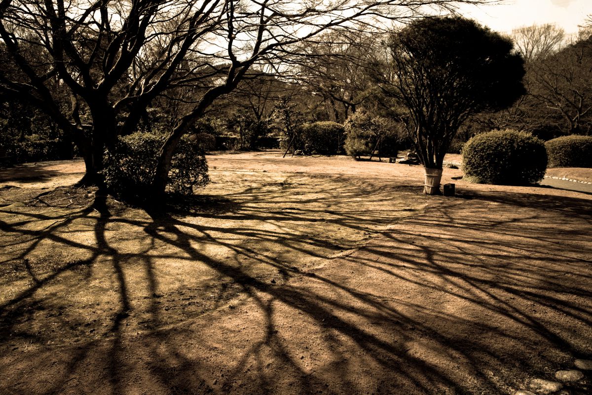 Shadow of crack | GANREF