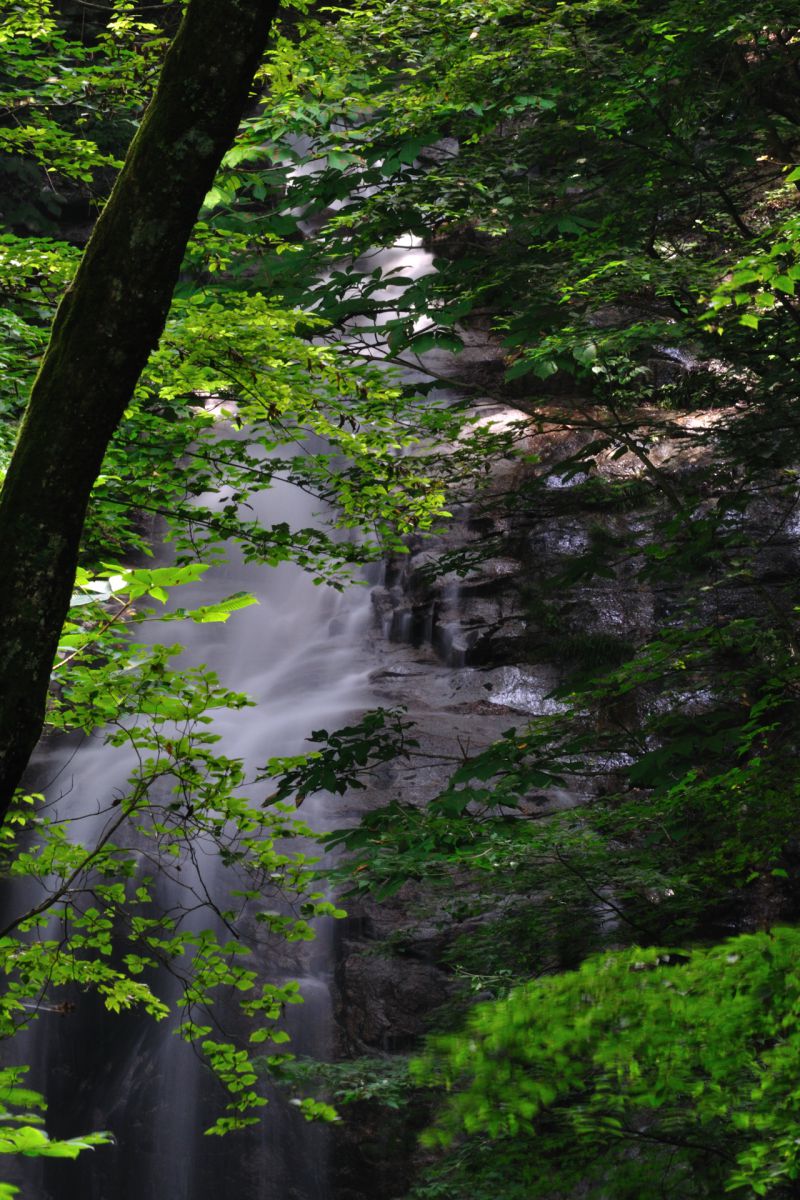 NAREI waterfall | GANREF