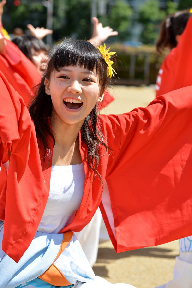 ひまわり娘 | GANREF