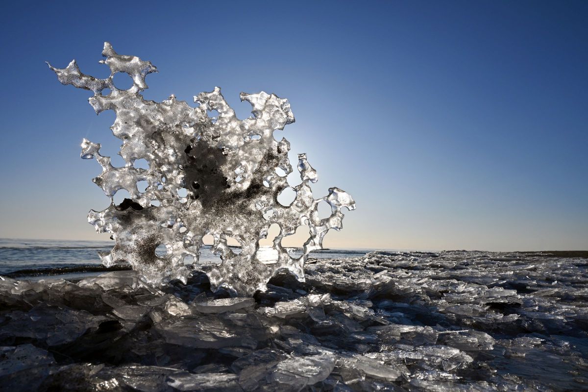 MAGICAL ICE | GANREF