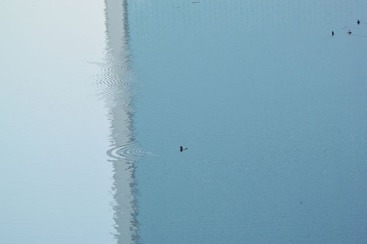 BLUE＆GRAY | GANREF