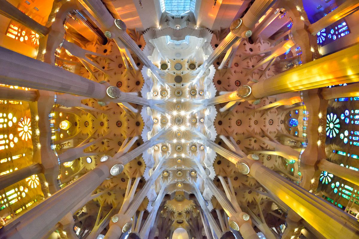 Holy Forest | GANREF