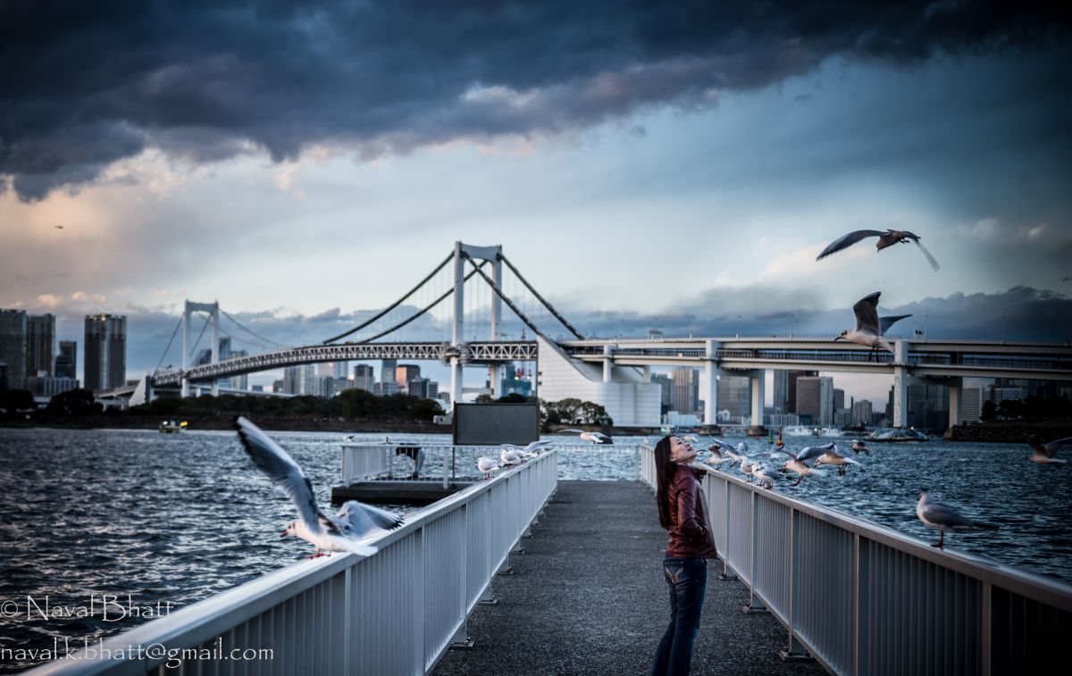 The Rainbow bridge | GANREF