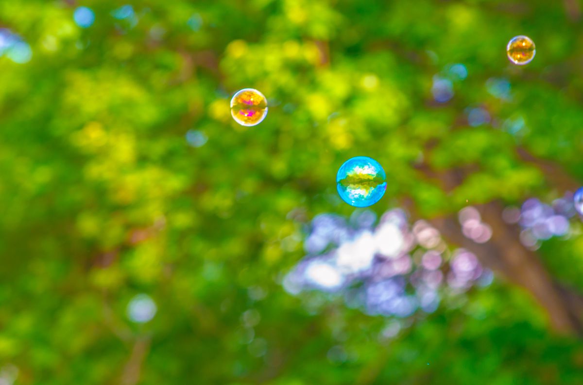 Bubbles | GANREF