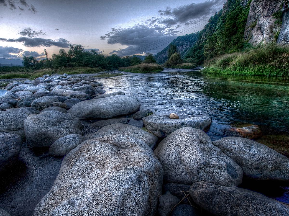 beautiful BUT wild | GANREF