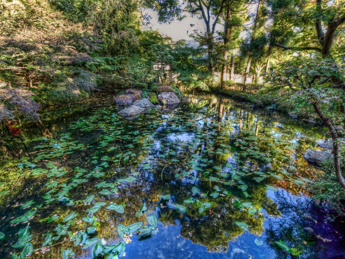 water, Presence：1 | GANREF