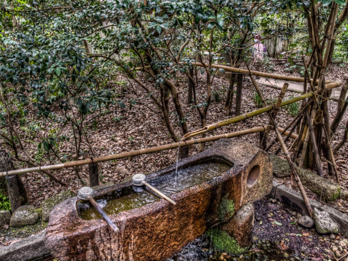 water, wood, stone, Drink. | GANREF