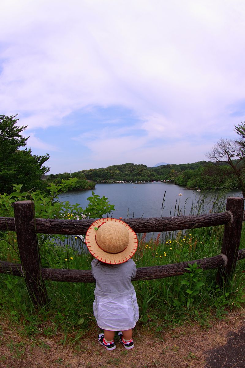 こっち向いてよ。ねぇ～ | GANREF