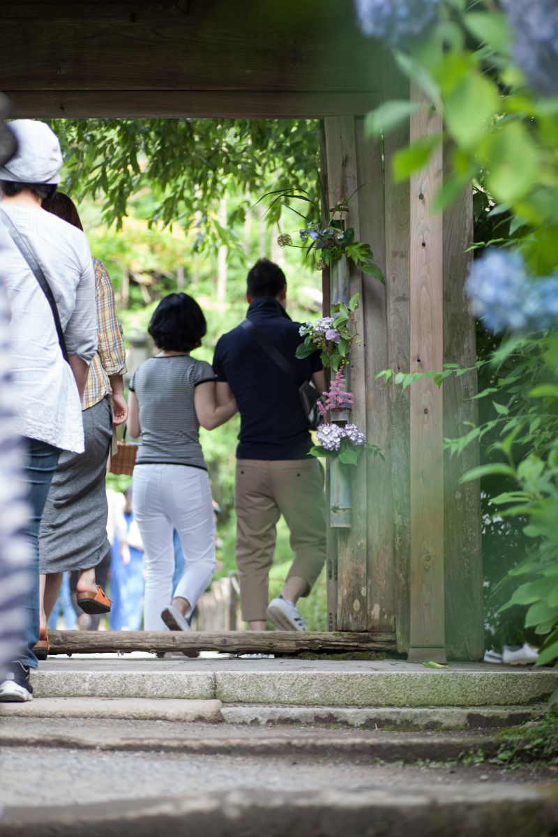 3Steps(2+1) | GANREF