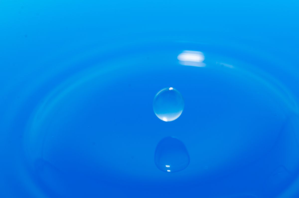 Reverse drop | GANREF