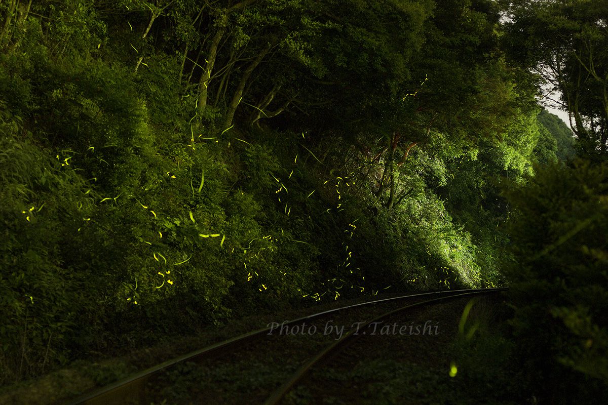 Galaxy Railway | GANREF